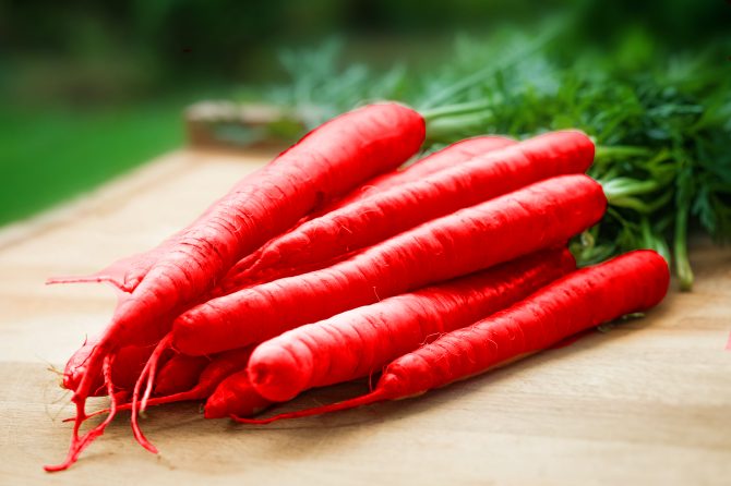 January 2024: Kyoto Red Carrots | Alameda County Library