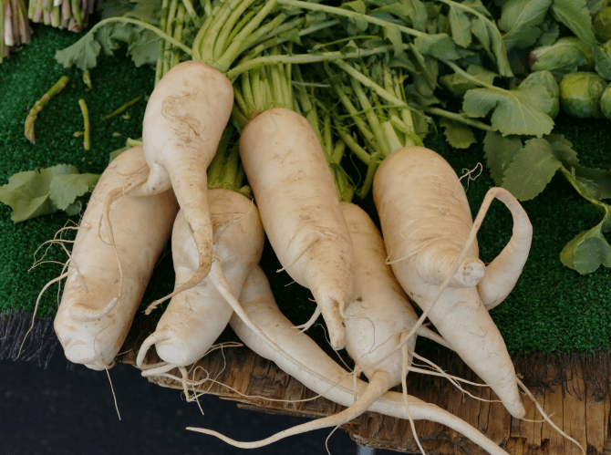 June 2025: Harris Model Parsnips | Alameda County Library